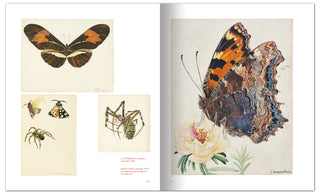 Elisabeth Ivanovsky – éditions MeMo