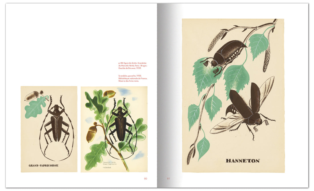 Elisabeth Ivanovsky – éditions MeMo