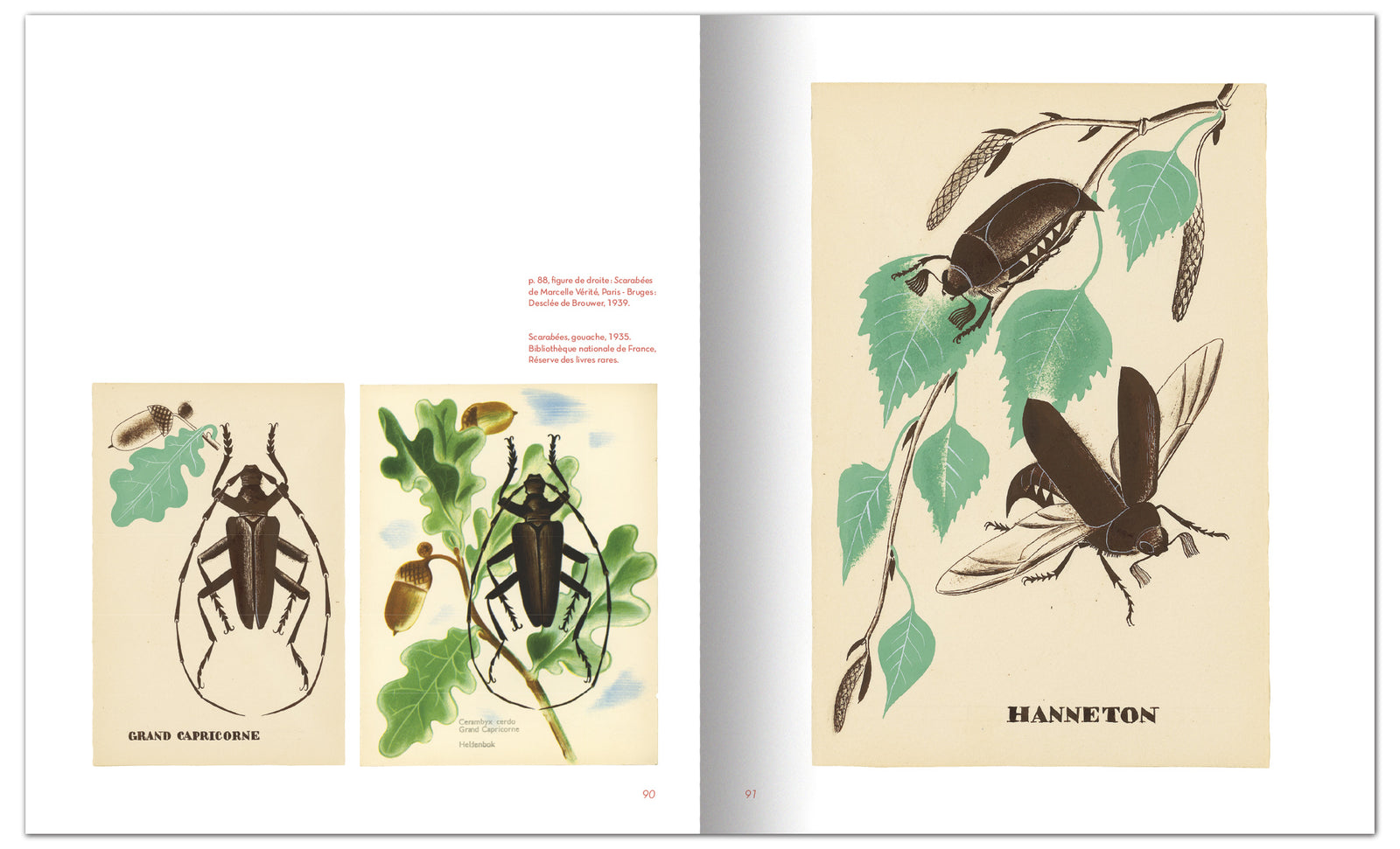 Elisabeth Ivanovsky – éditions MeMo